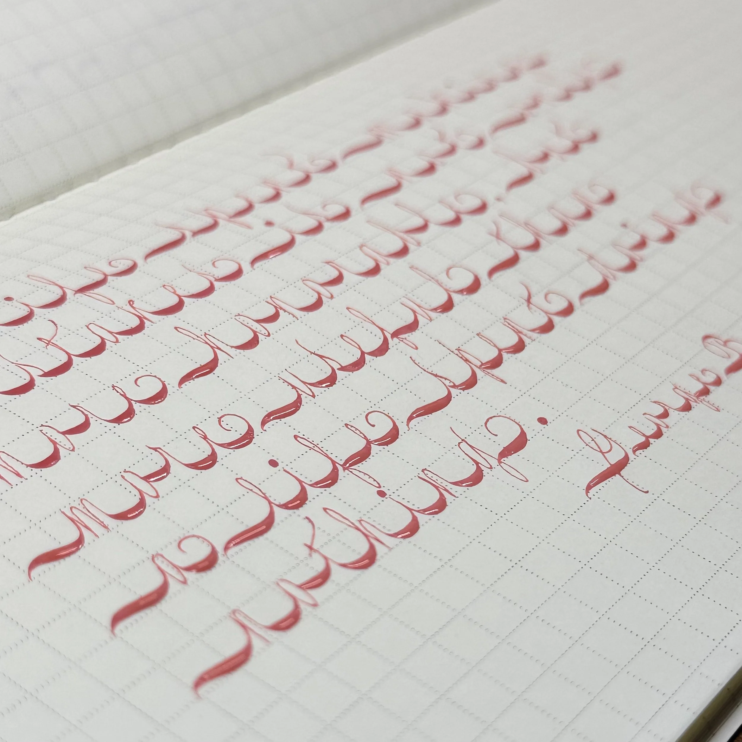 Workshops — ANINTRAN