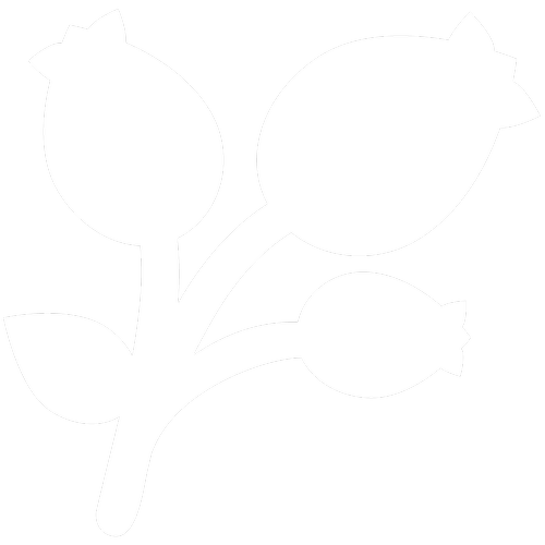 Enoch Cree Nation Tourism