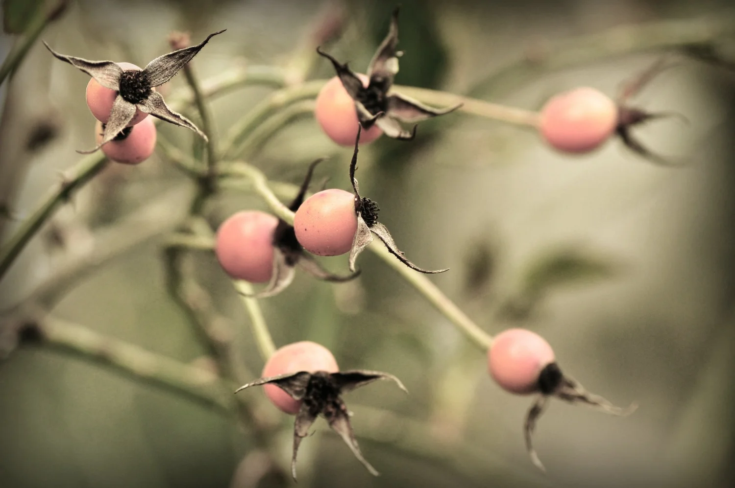 Home — Enoch Cree Nation Tourism