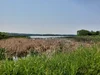 Home — Enoch Cree Nation Tourism