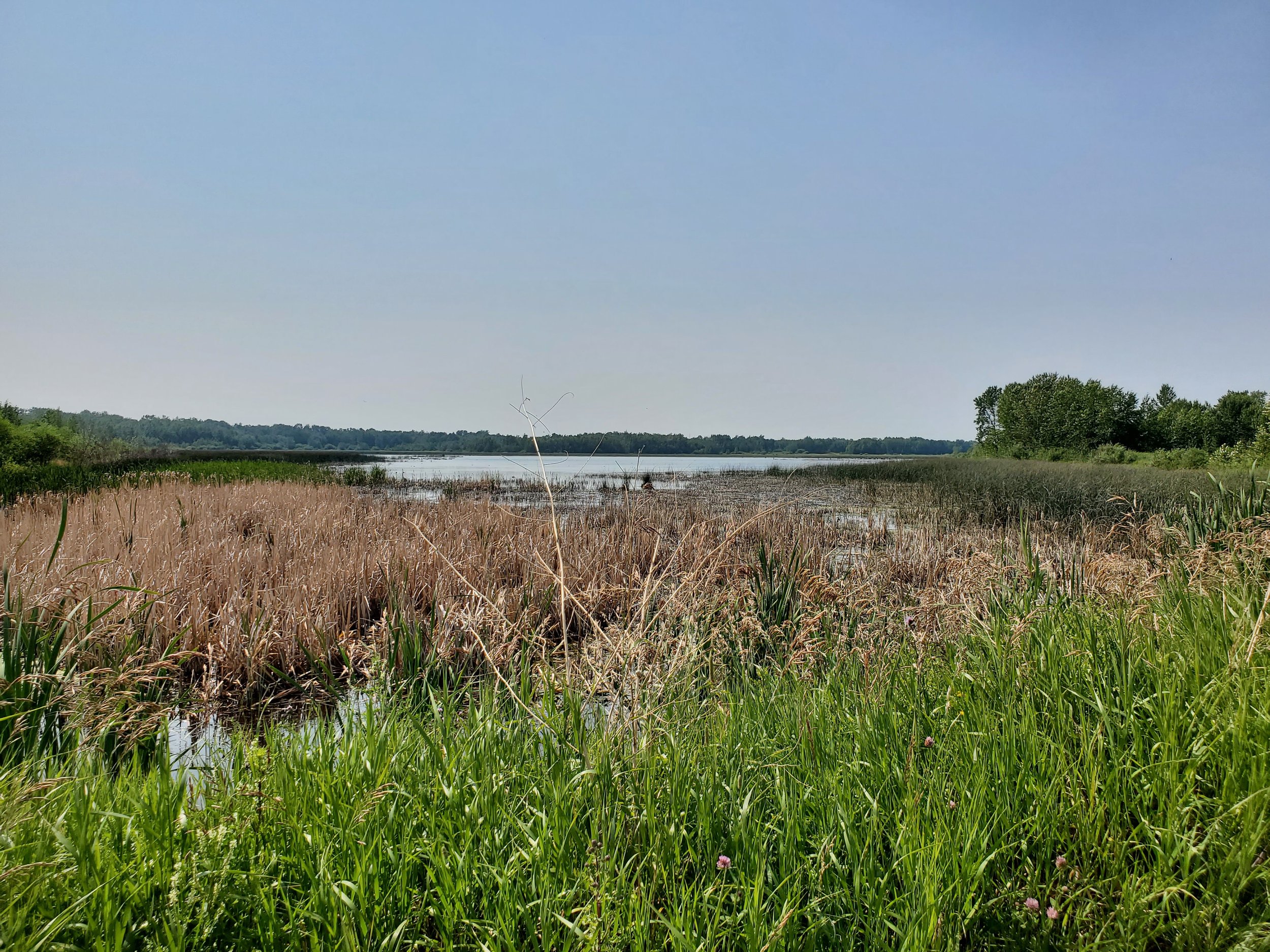 Home — Enoch Cree Nation Tourism