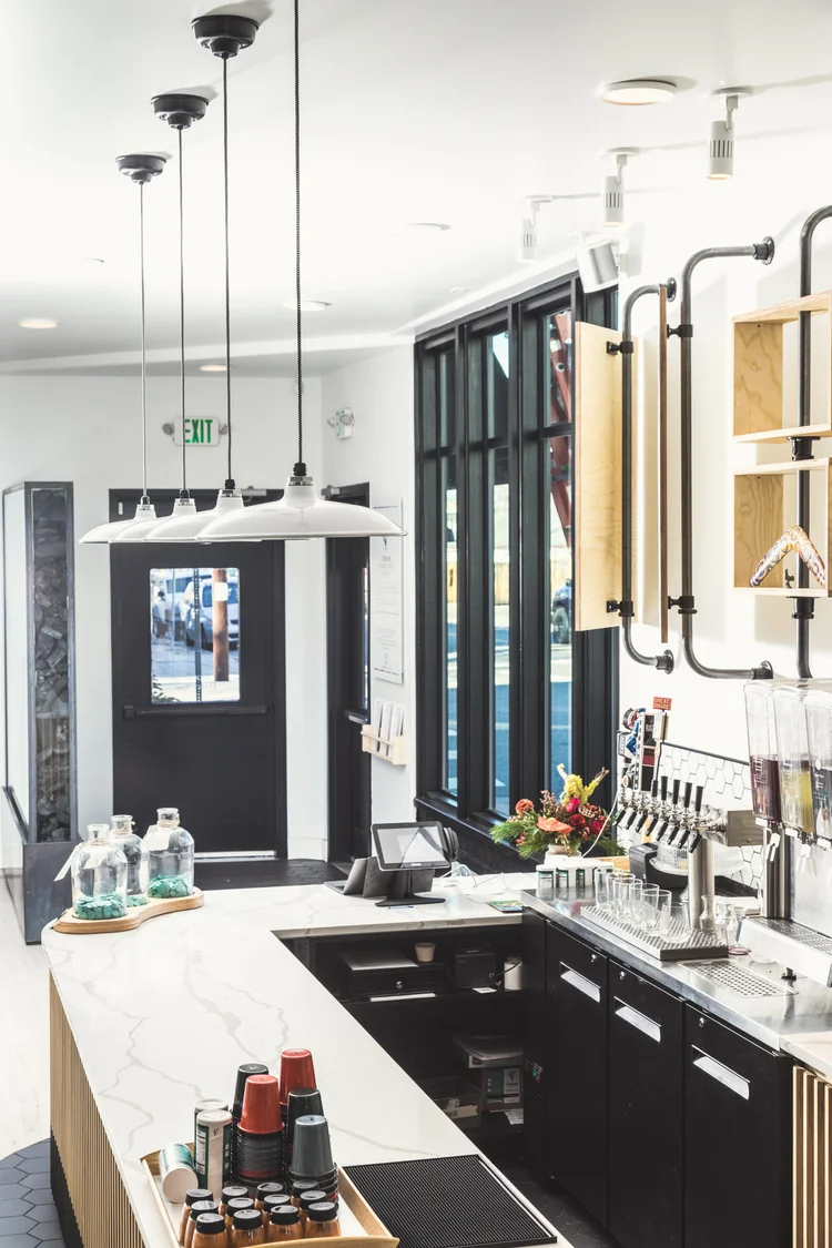 Visual Interest — Chook Chicken