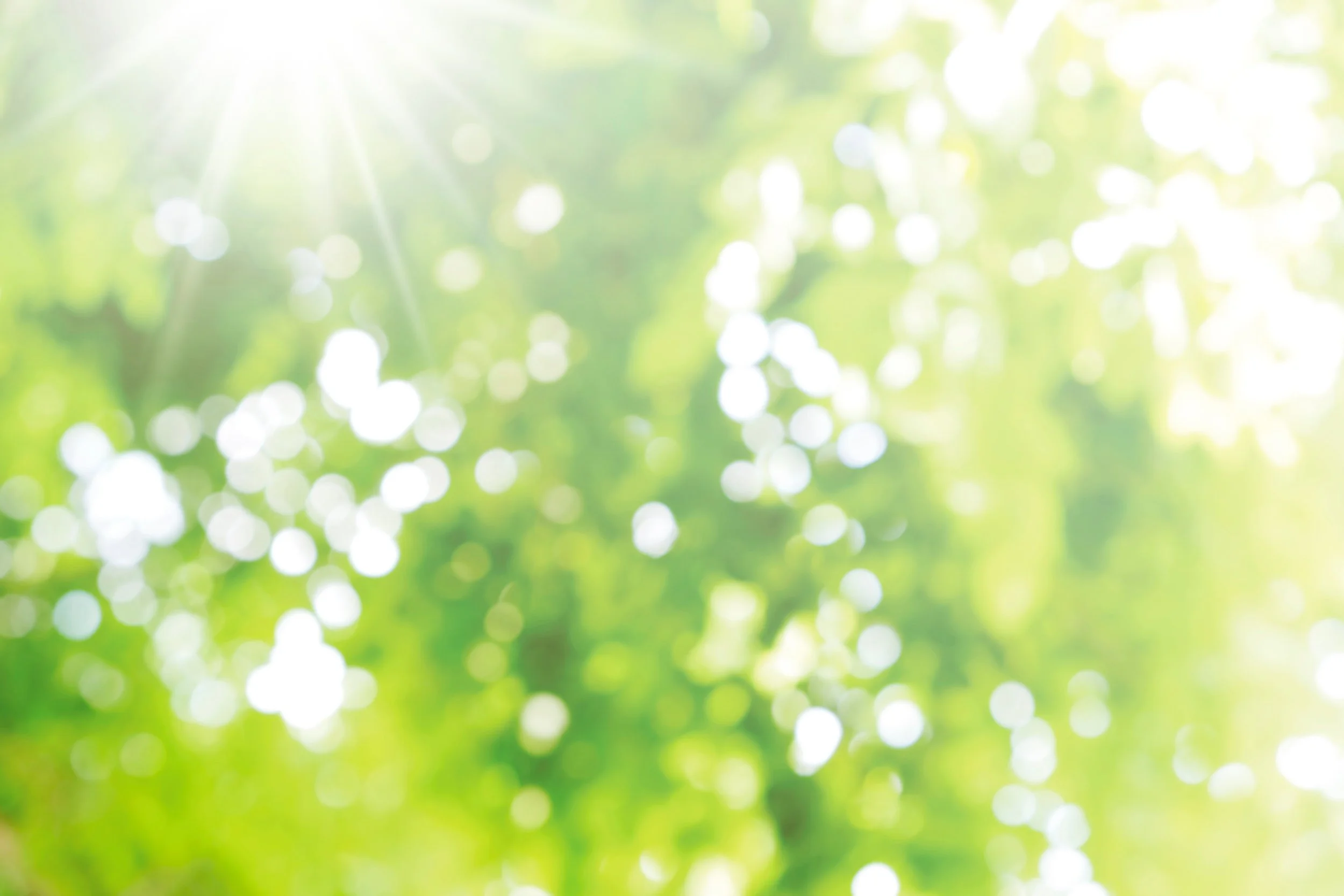 AC Services Contact Form — Air Dynamics HVAC