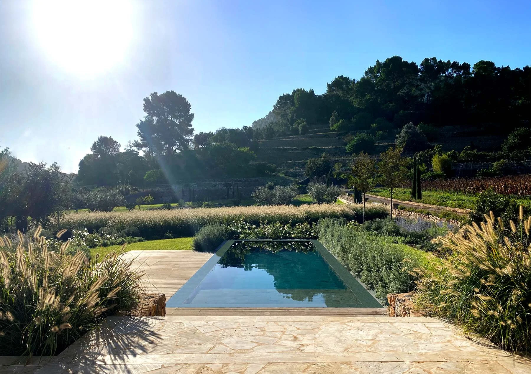 Studio Terraforma | Landscape and Garden Design Mallorca