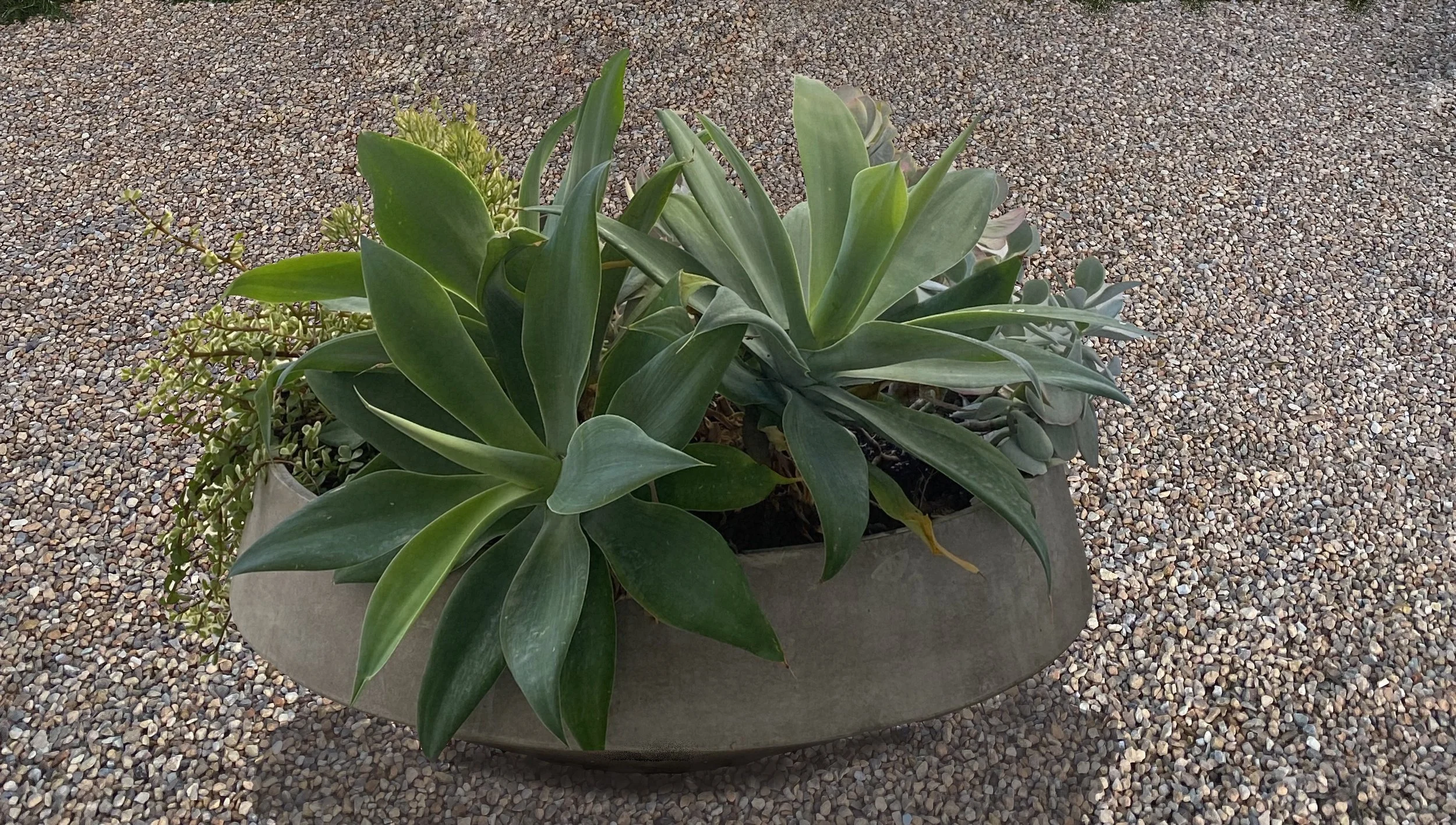 Custom Garden Elements | Studio Terraforma