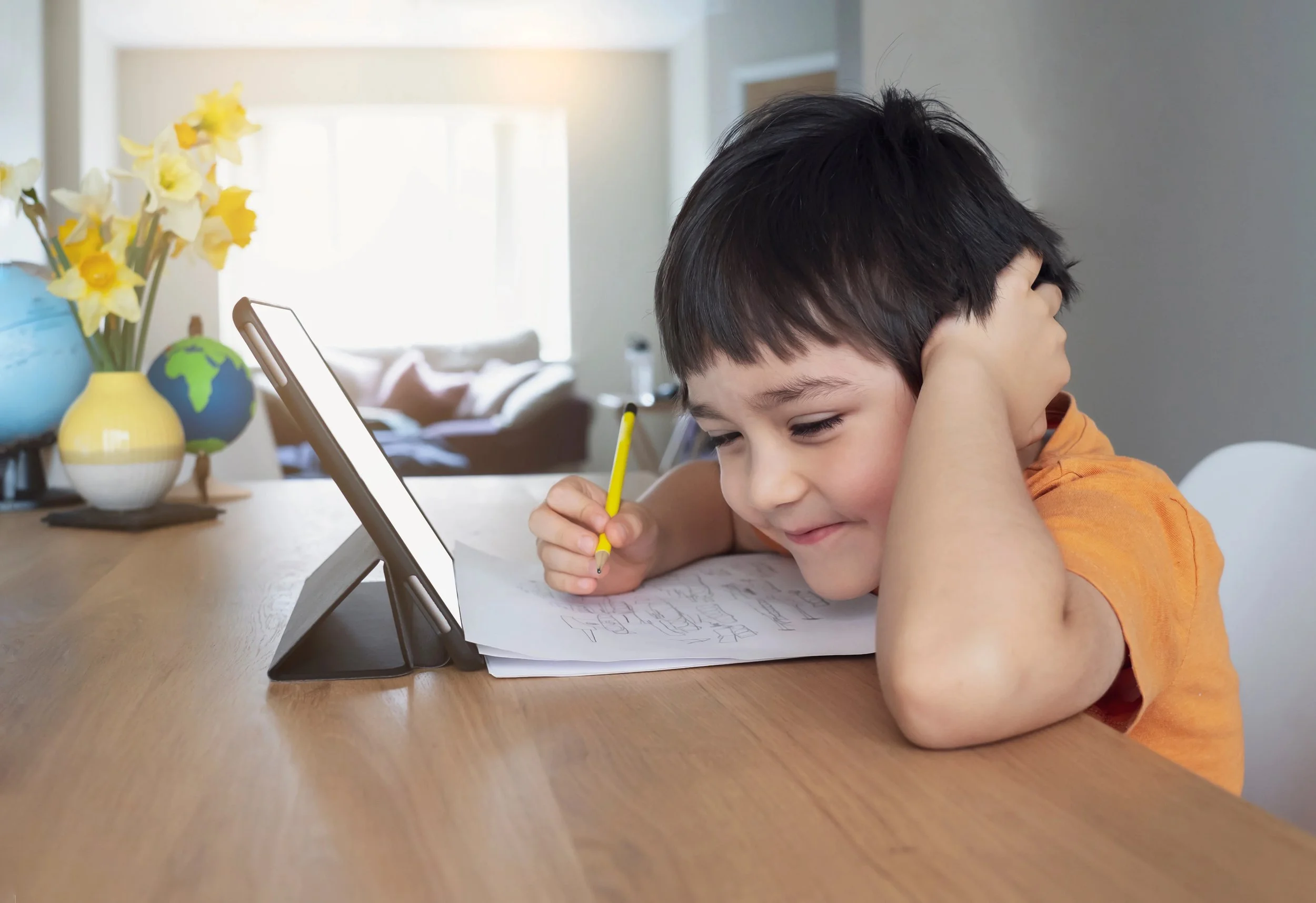 Online Learning Environment, Conducive for Learning