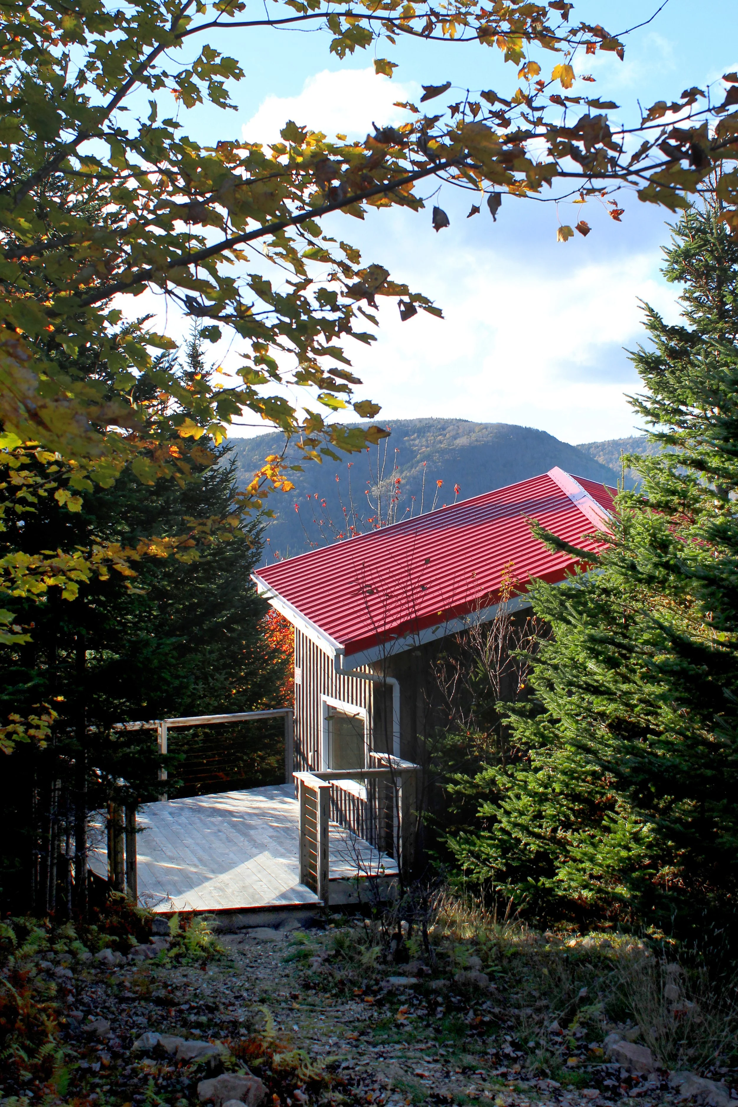 Raven’s Roost — Sally's Brook Wilderness Cabins
