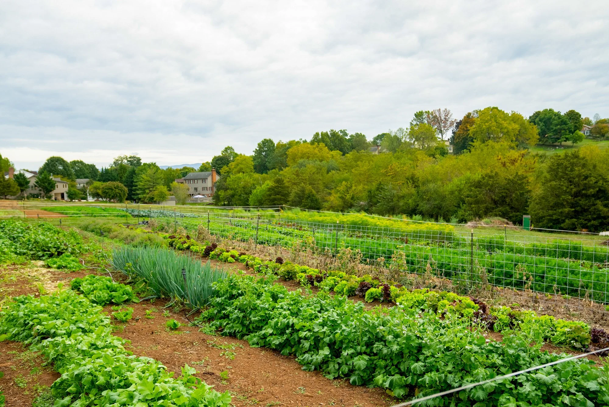 The Farm | Enhance Your Lifestyle—Join Us Today — Independent Living ...