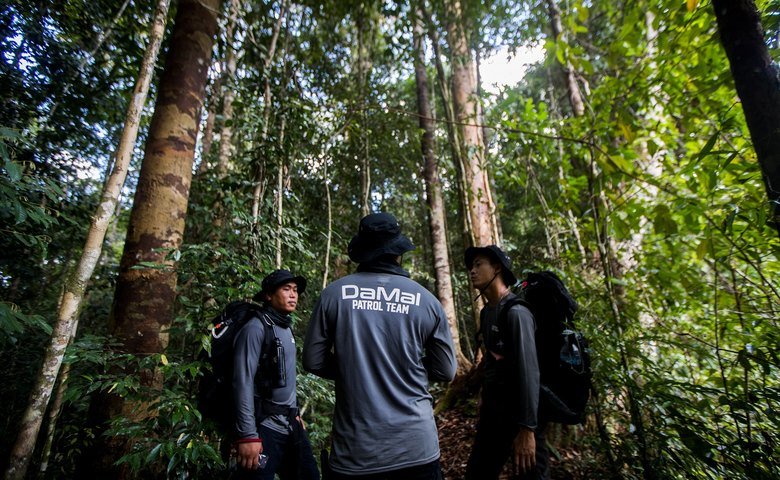 Protecting the world’s wildest places through community-led park ...