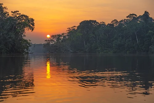 Yasuni National Park, Ecuador — Global Conservation