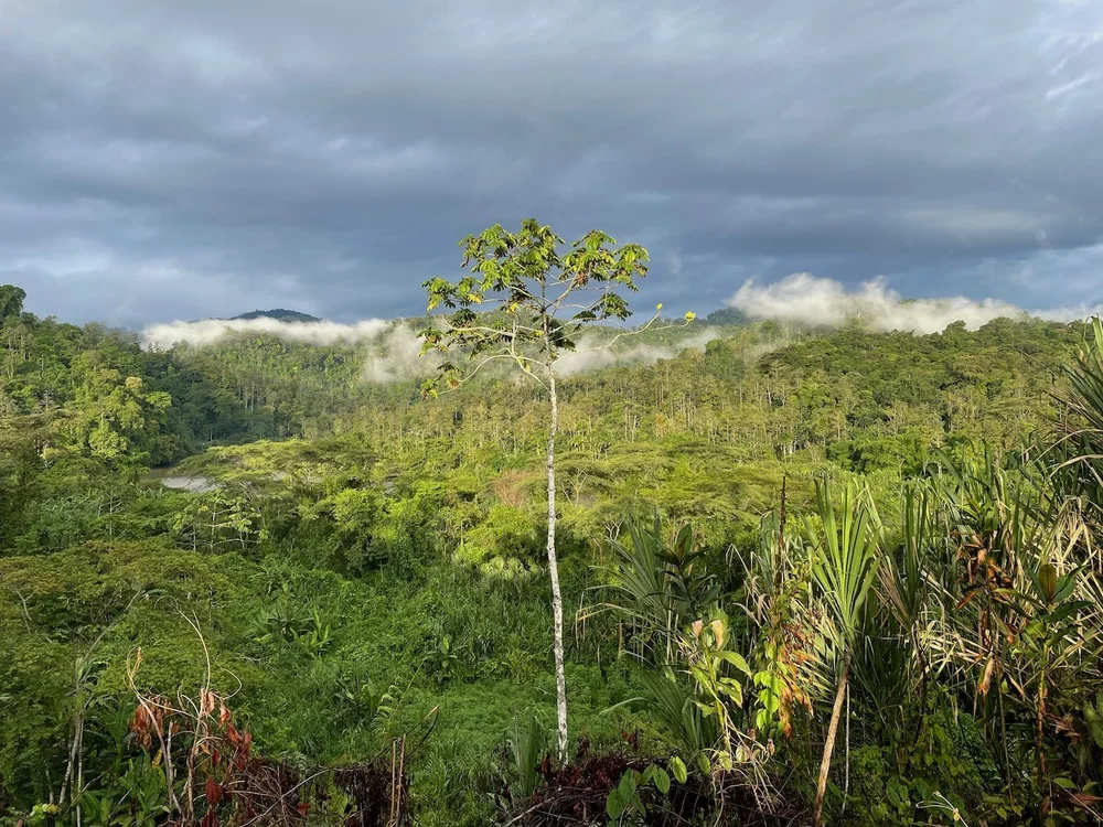 Protecting The Naso Kingdom And La Amistad World Heritage Site — Global ...