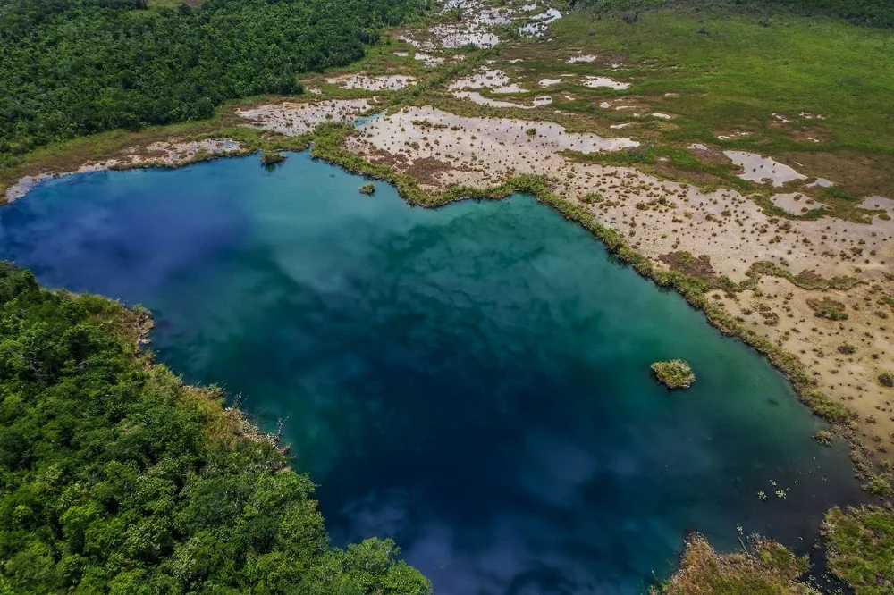 Belize Maya Forest Protection: 2023-24 Progress — Global Conservation