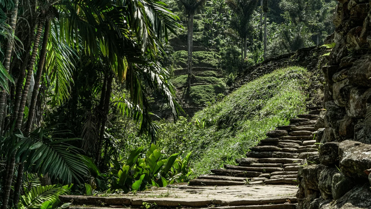 Sierra Nevada de Santa Marta, Colombia — Global Conservation