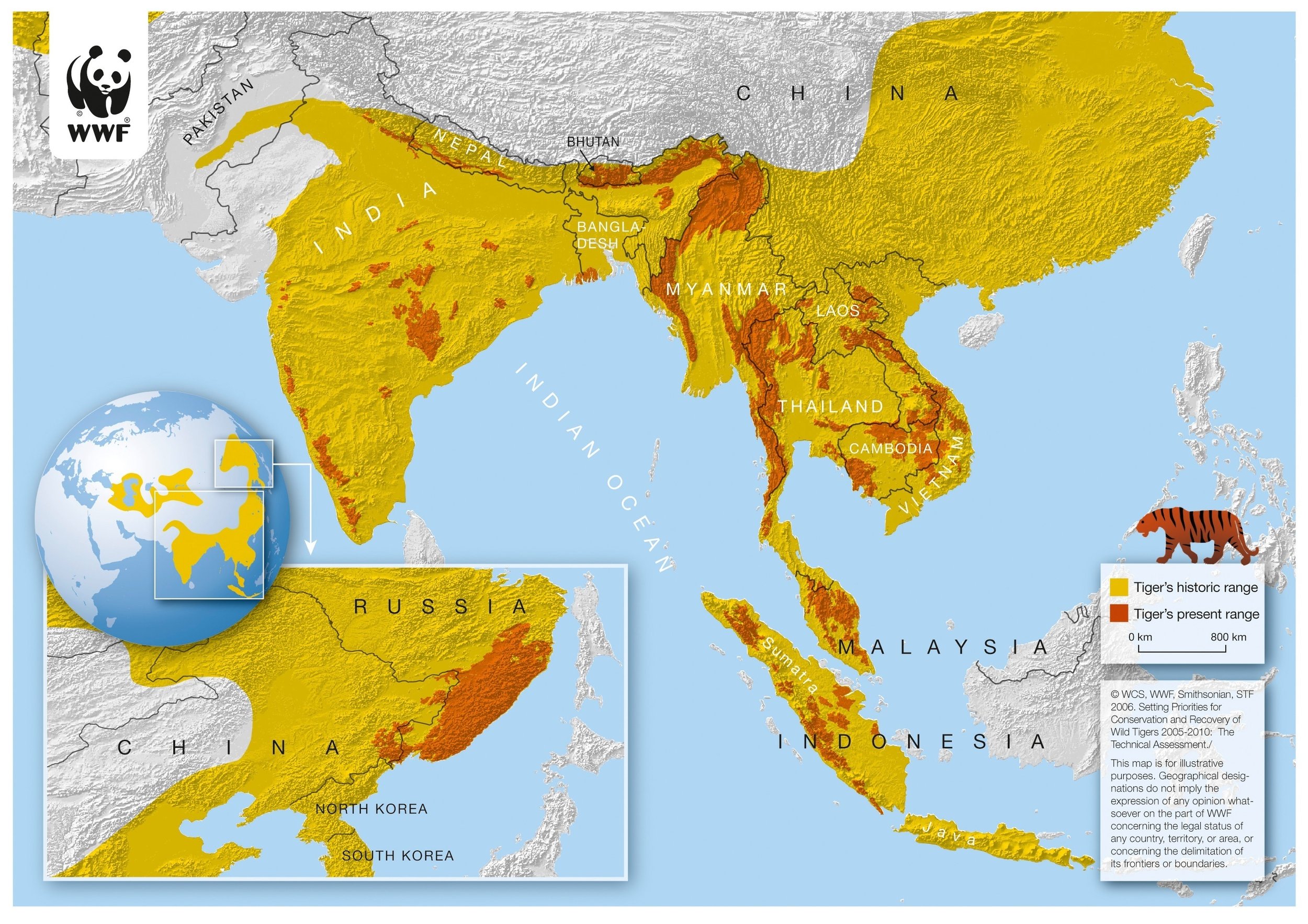 Indochinese Tiger — Global Conservation