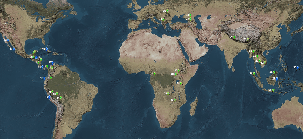 Projects Ensure “No Cut, No Kill” Protection — Global Conservation