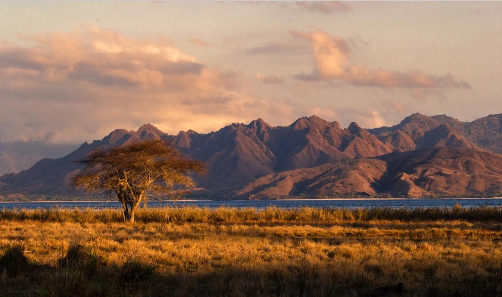 Komodo National Park: Progress in Park and Wildlife Protection 2023-2024 — Global Conservation