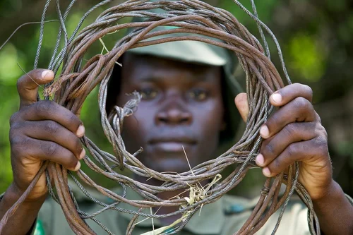 The World’s Conservation Organization Dedicated to Park Defense Systems ...