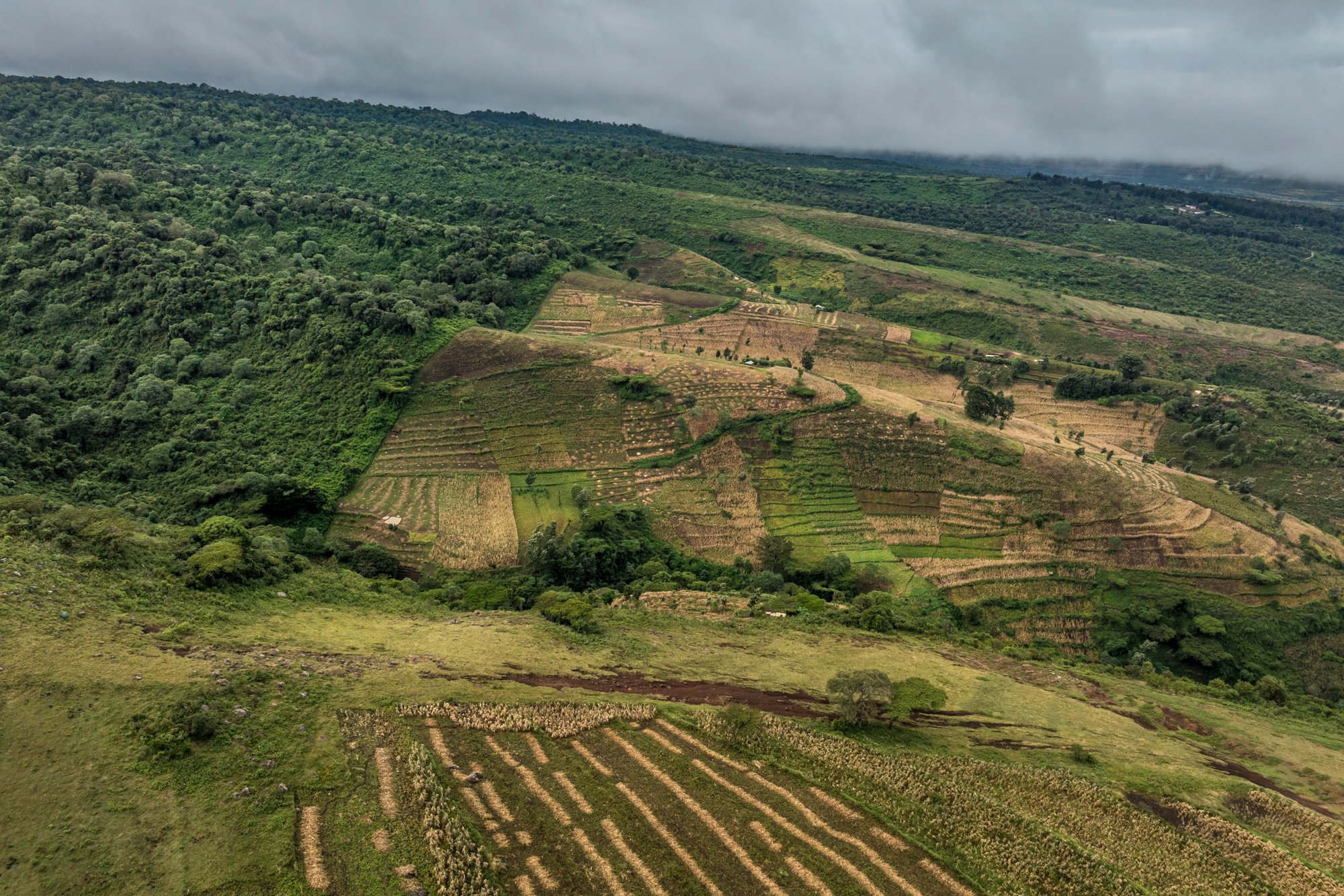 Ngorongoro World Heritage Site, Tanzania — Global Conservation