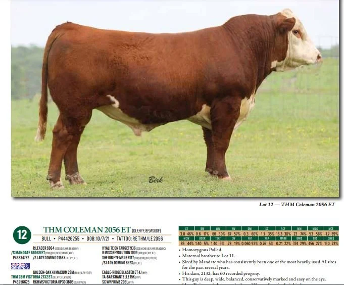 Our Herd — Bar-W-Cattle Co.