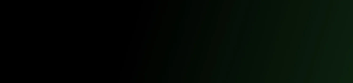 Merchandise Processing Fee 2024 — Importal