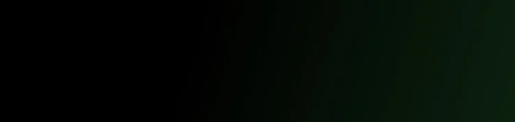 Merchandise Processing Fee 2024 — Importal