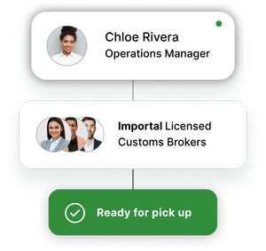 Customs Clearance — Importal