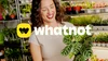 A Refreshed Look for Whatnot — News & Whatnot