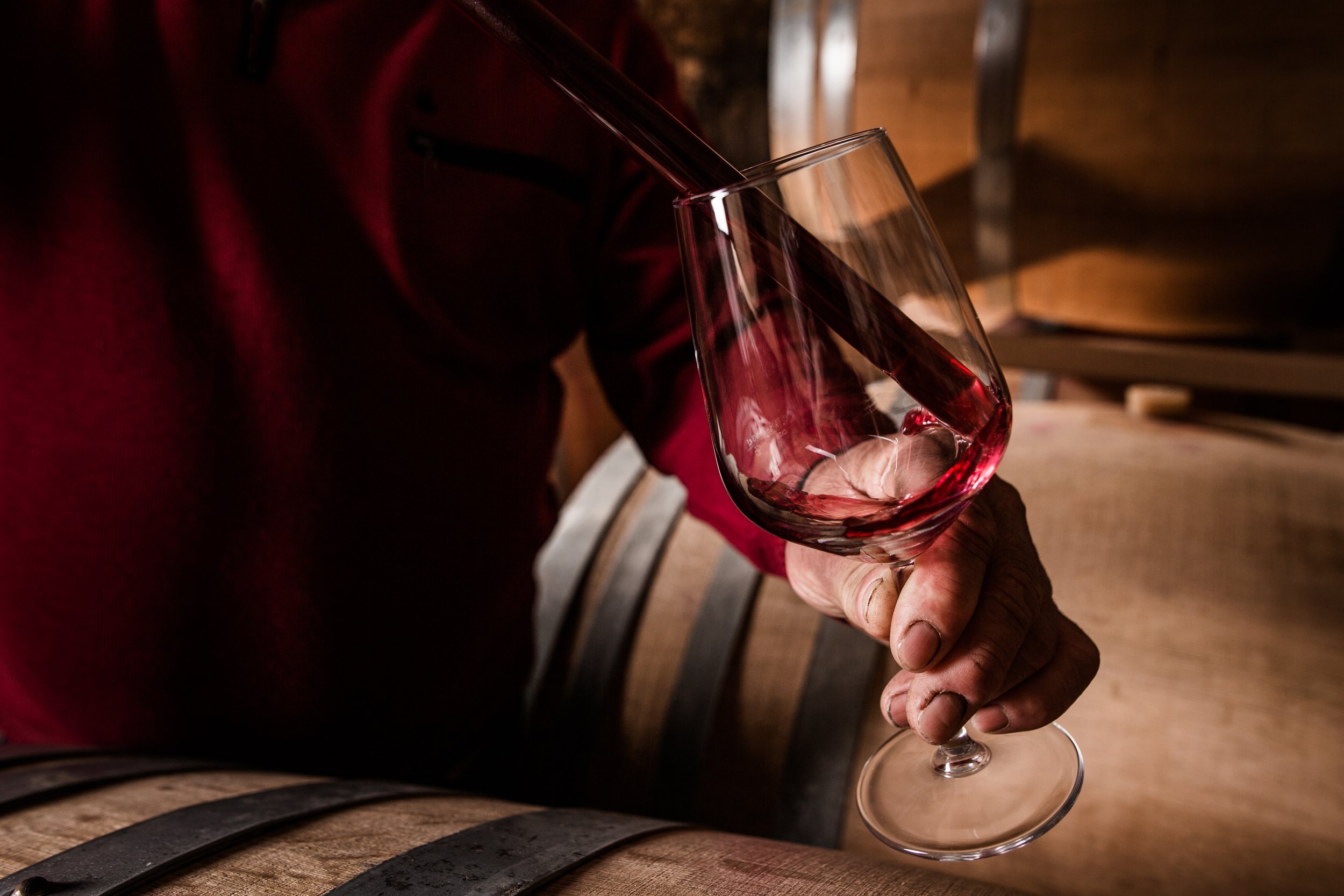 Wines of Slovenia: Discover Slovenian Wine and Winemaking