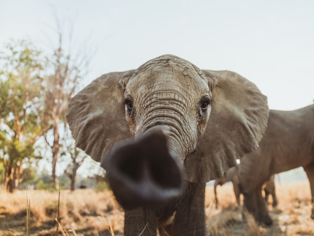 Who We Are — The David Rio Foundation