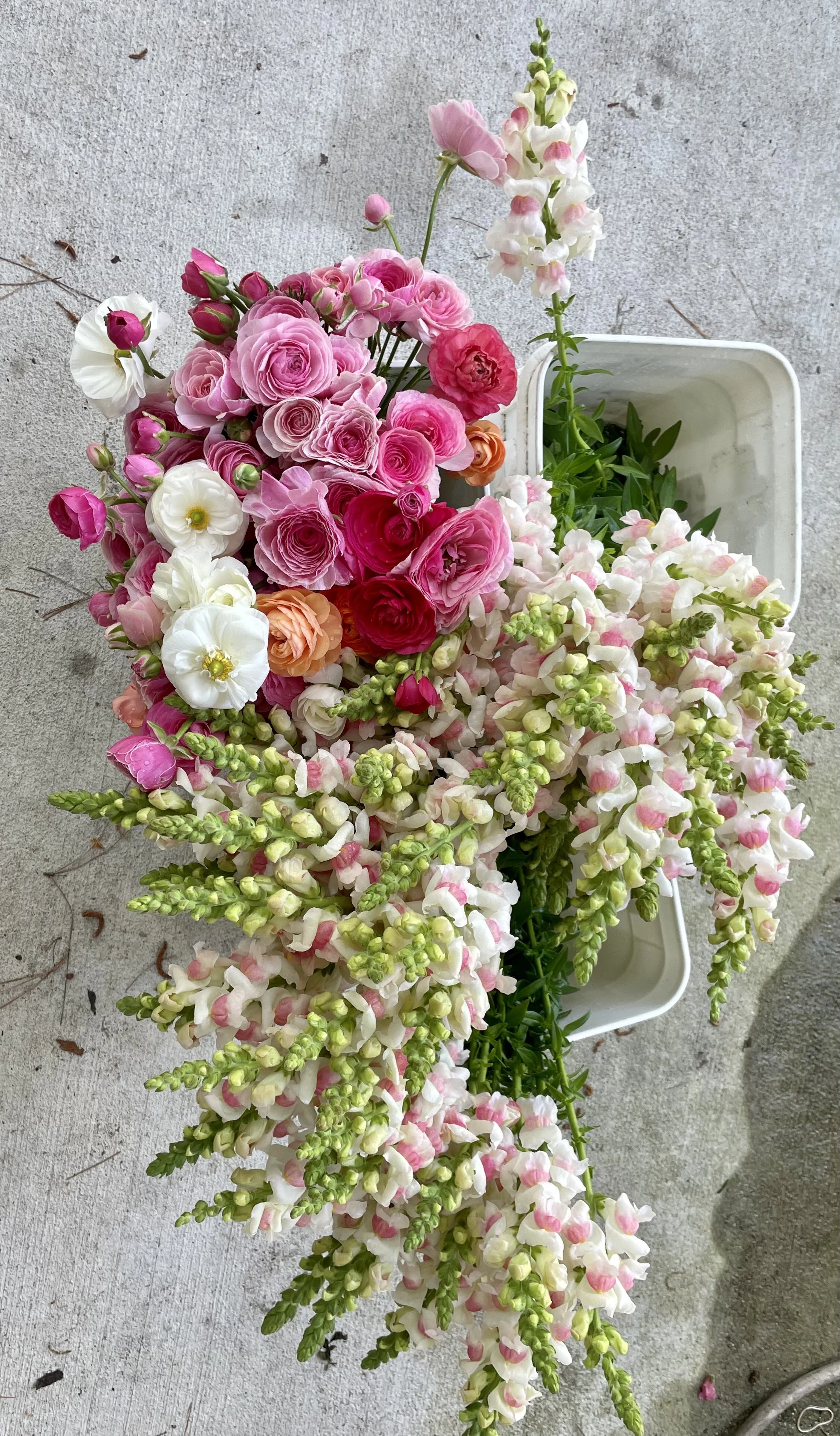 Flower Shop — The Urb Farm