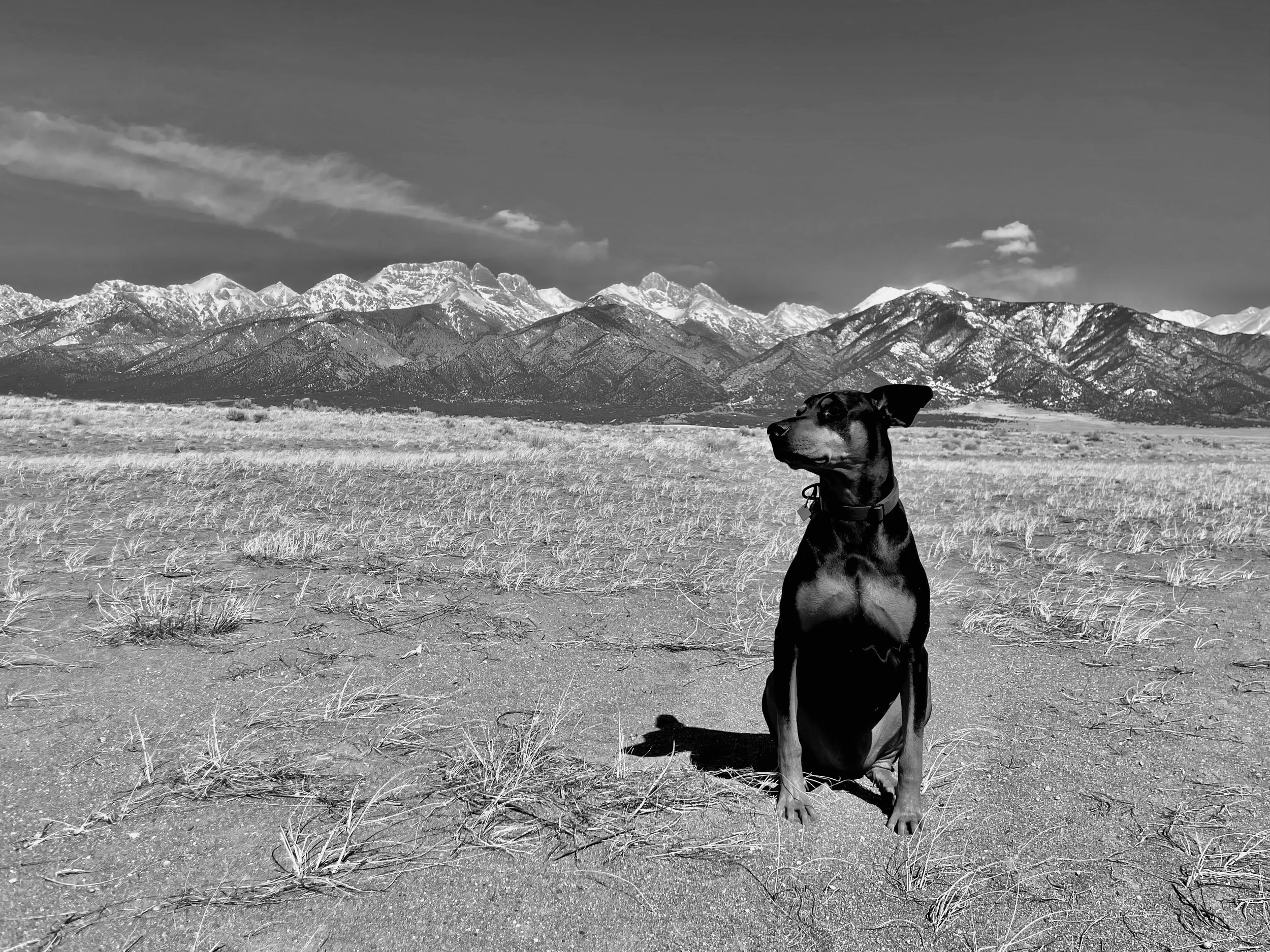 Contact — The Baca Grande