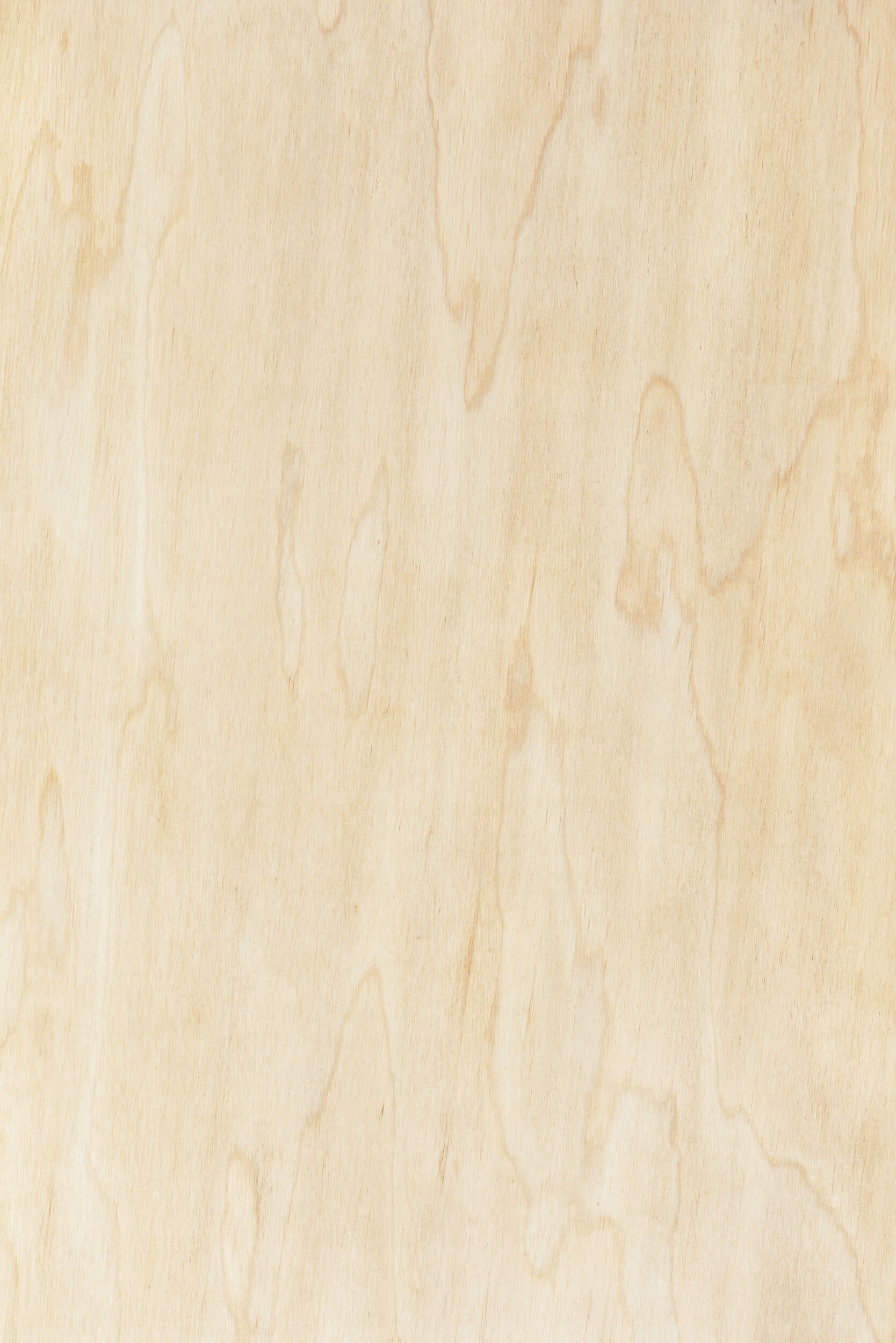 Sanded Plywood — Natron Plywood