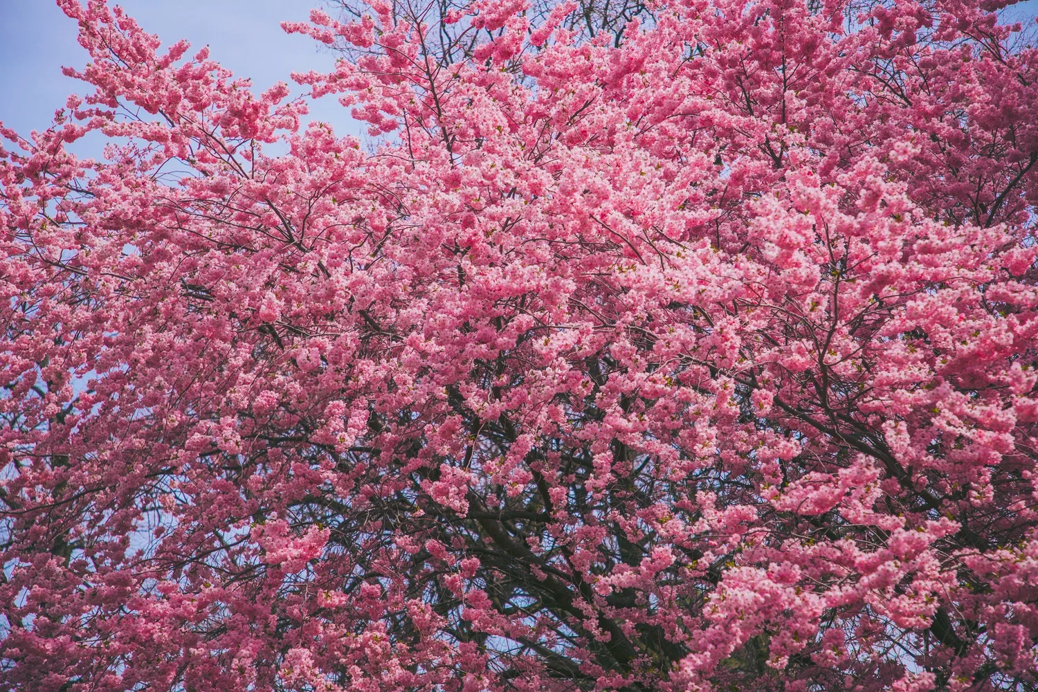 The Four Seasons in Art and History | How Artists Depicted Spring ...
