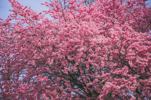 The Four Seasons in Art and History | How Artists Depicted Spring ...