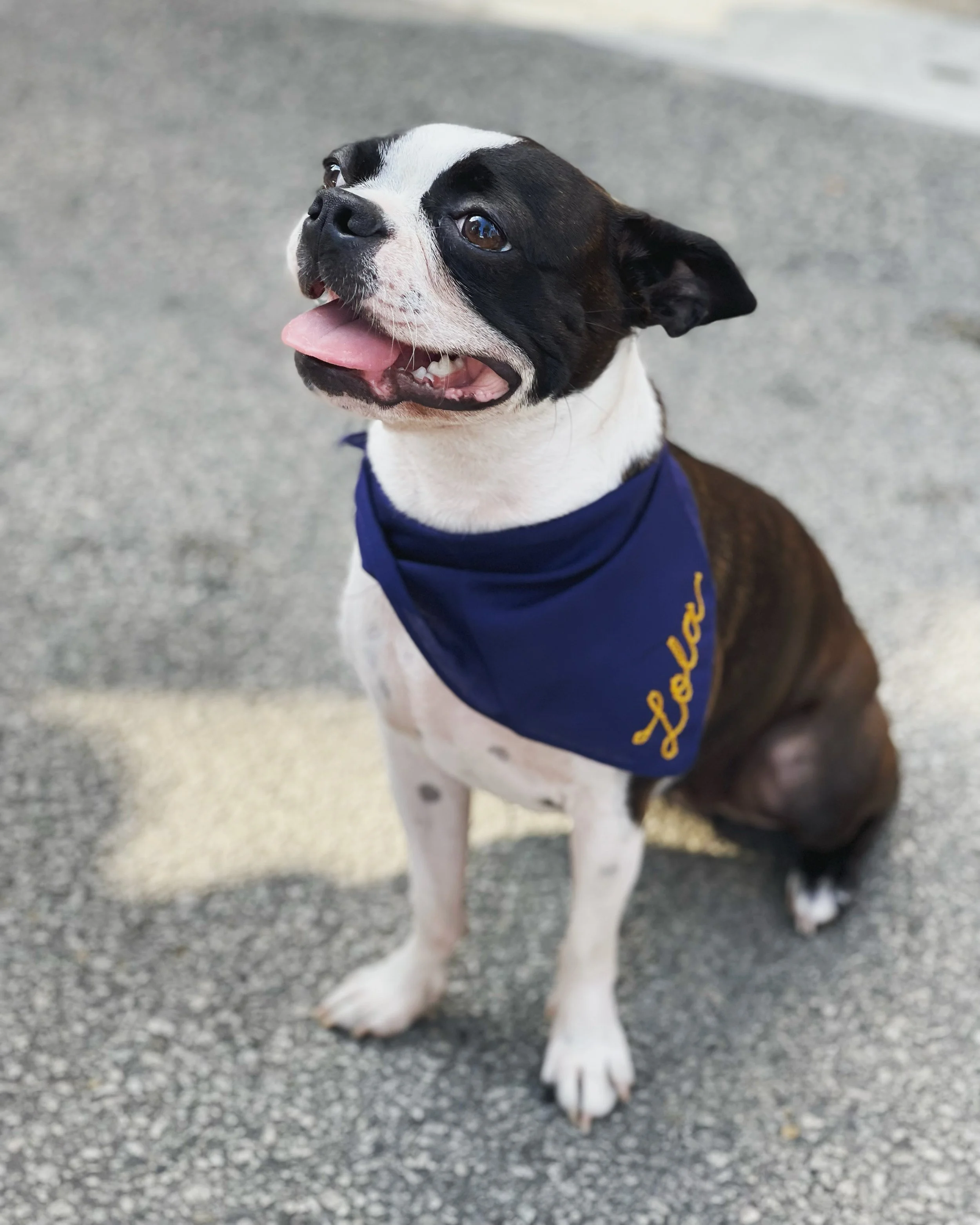 Meet ARTSQ cofounder Ellen! — artsq.org