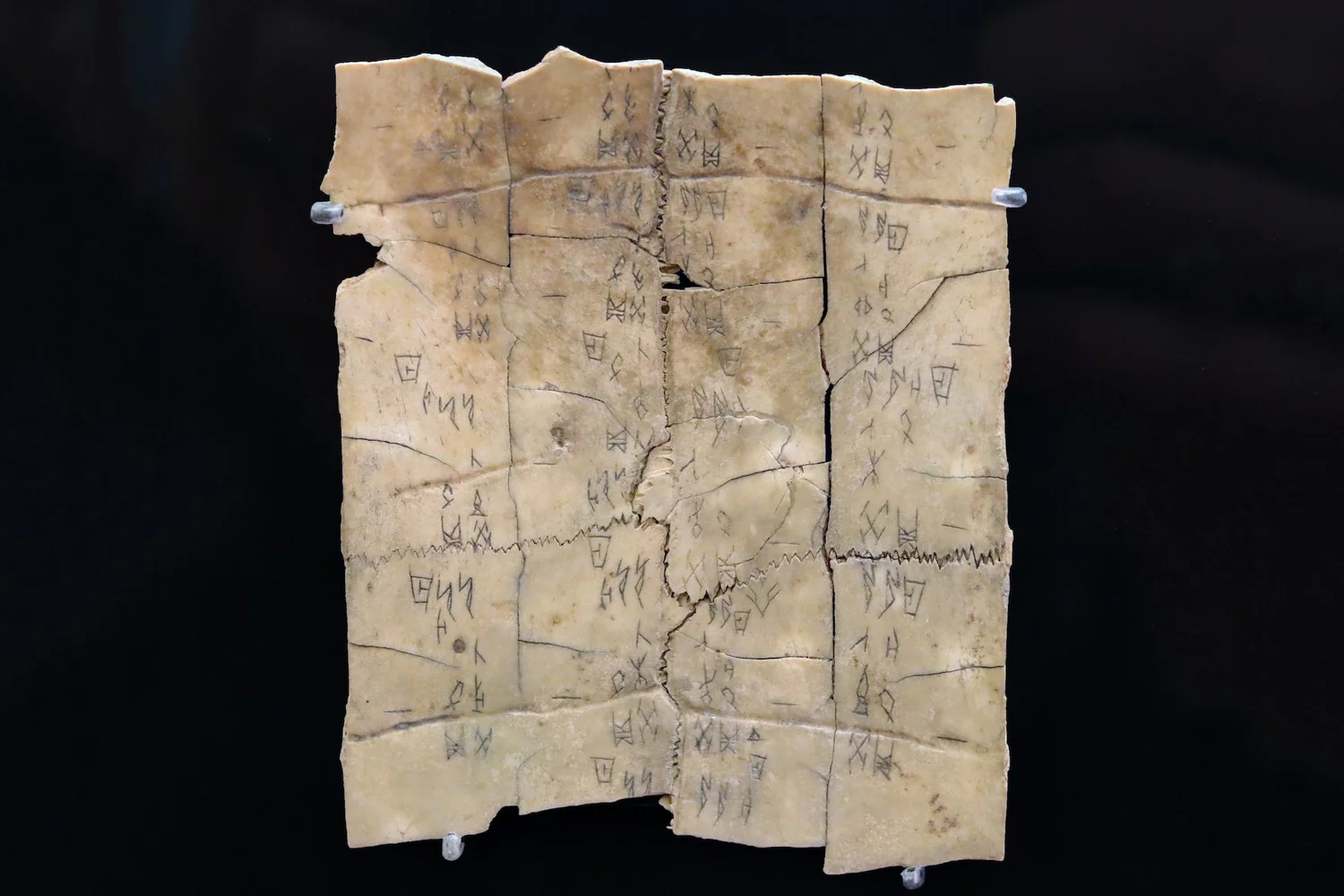 Predicting the future with turtle shells — artsq.org