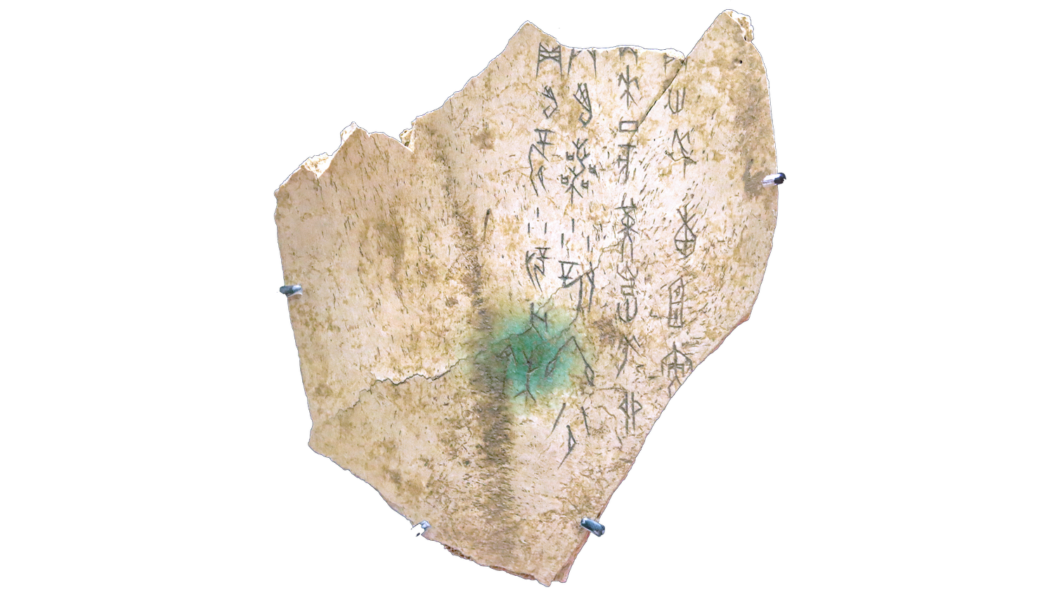 Predicting the future with turtle shells — artsq.org