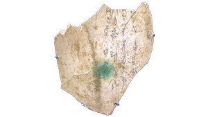 Predicting the future with turtle shells — artsq.org