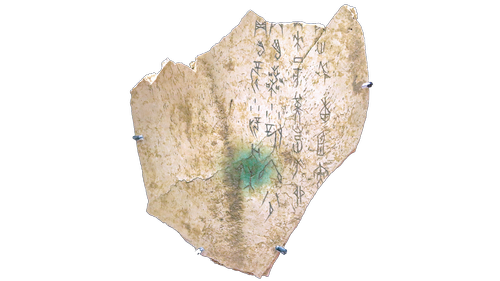 Predicting the future with turtle shells — artsq.org