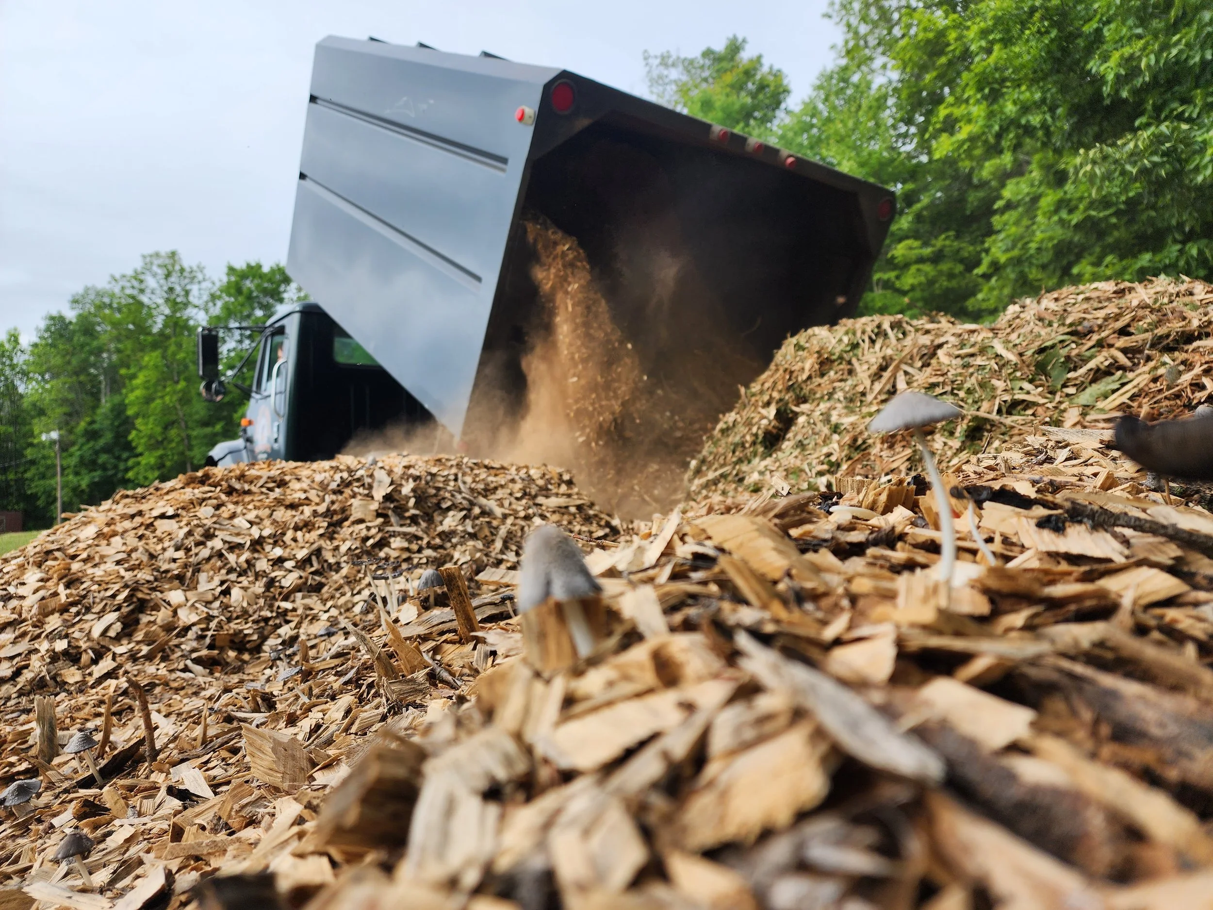 Estimate | Request Your Free Estimate Now — Crazy Abe's Saw Works