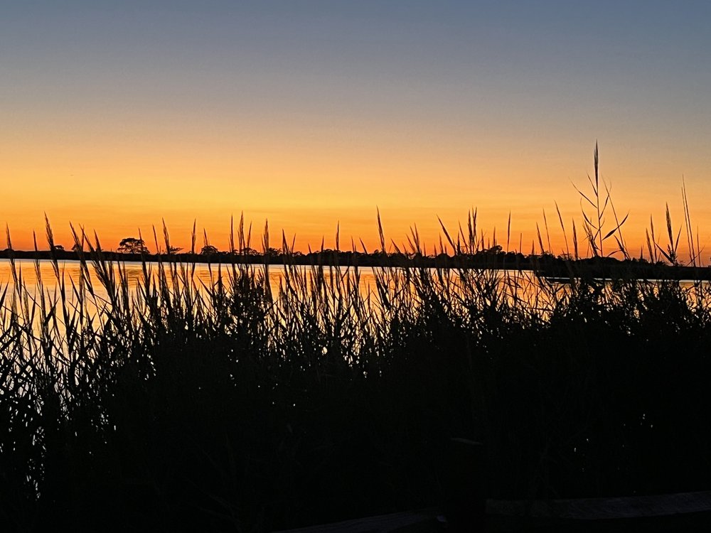 Past Event 2024 — The Secotan Alliance . . . and beyond (click to ...