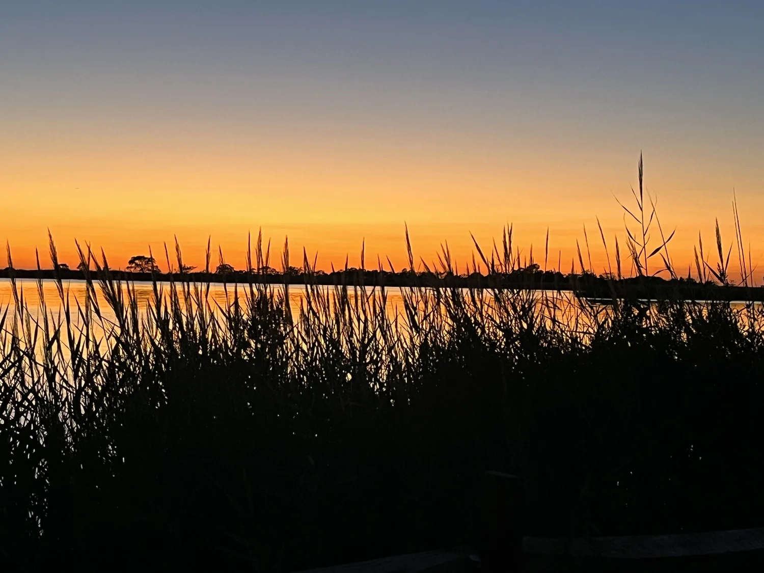 Past Event 2024 — The Secotan Alliance . . . and beyond (click to ...