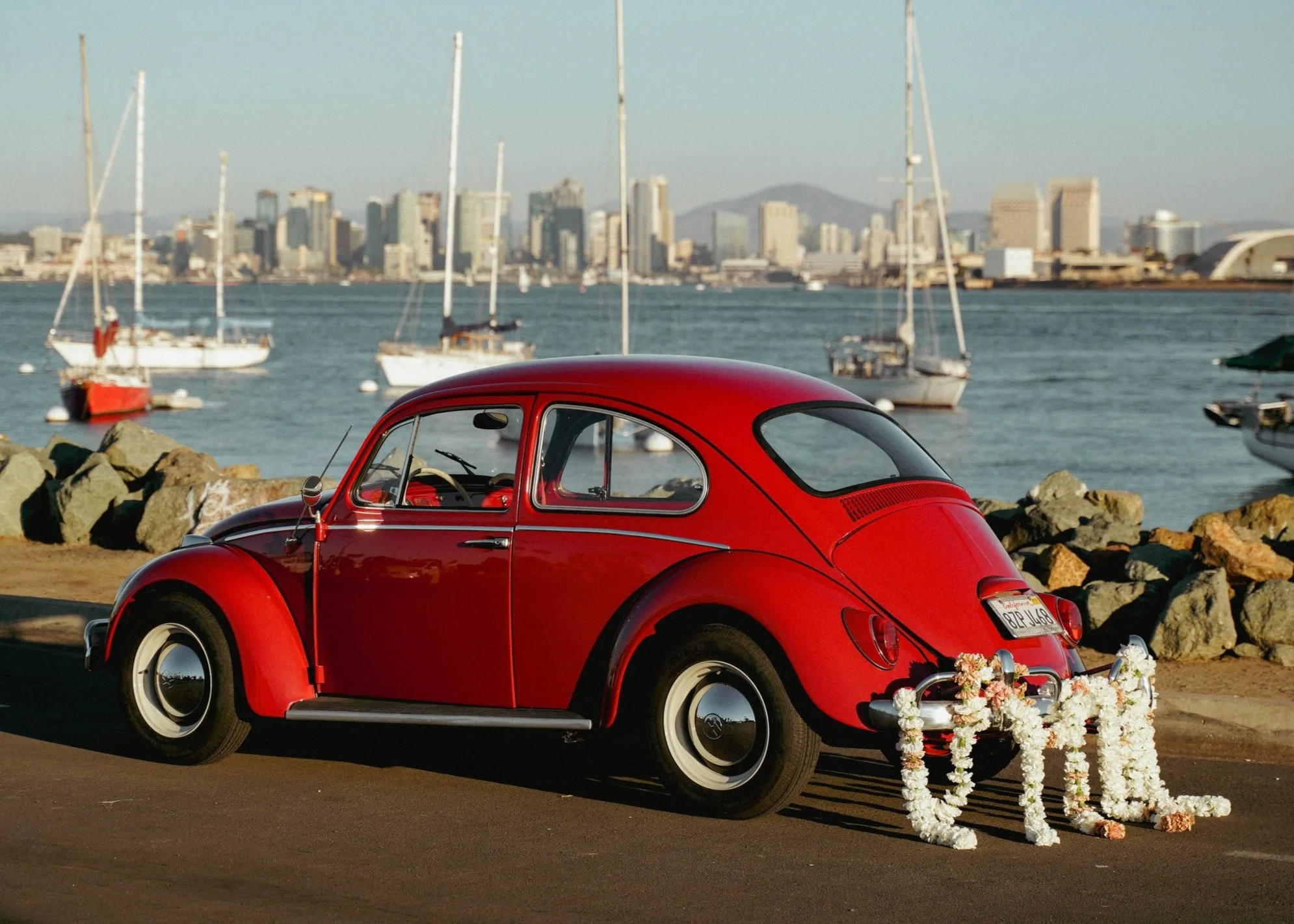 A Timeless Day | San Diego Coastal Tours & Bonfire Parties