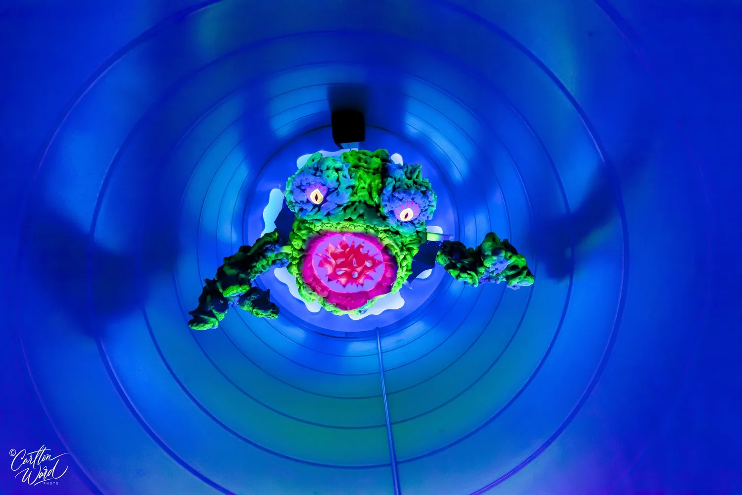 Roboto Octopodo - FATHOM Immersive Art World Premiere in Downtown Portland