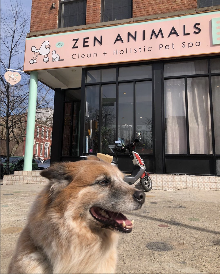 ZEN ANIMALS: CLEAN + HOLISTIC PET SPA