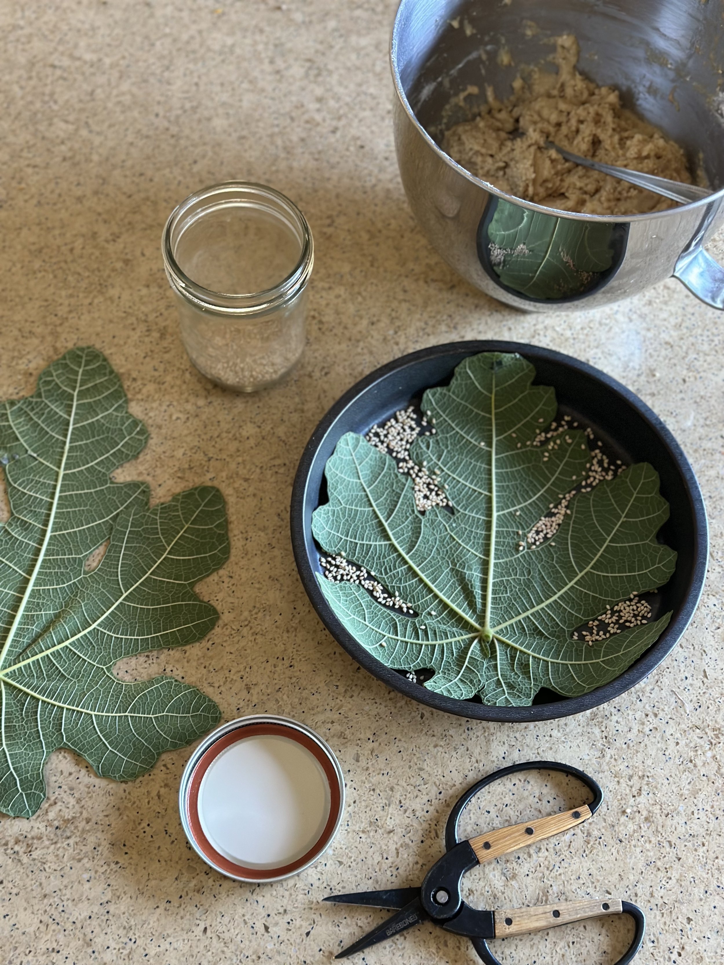 fig leaf tahini cake — Loria Stern