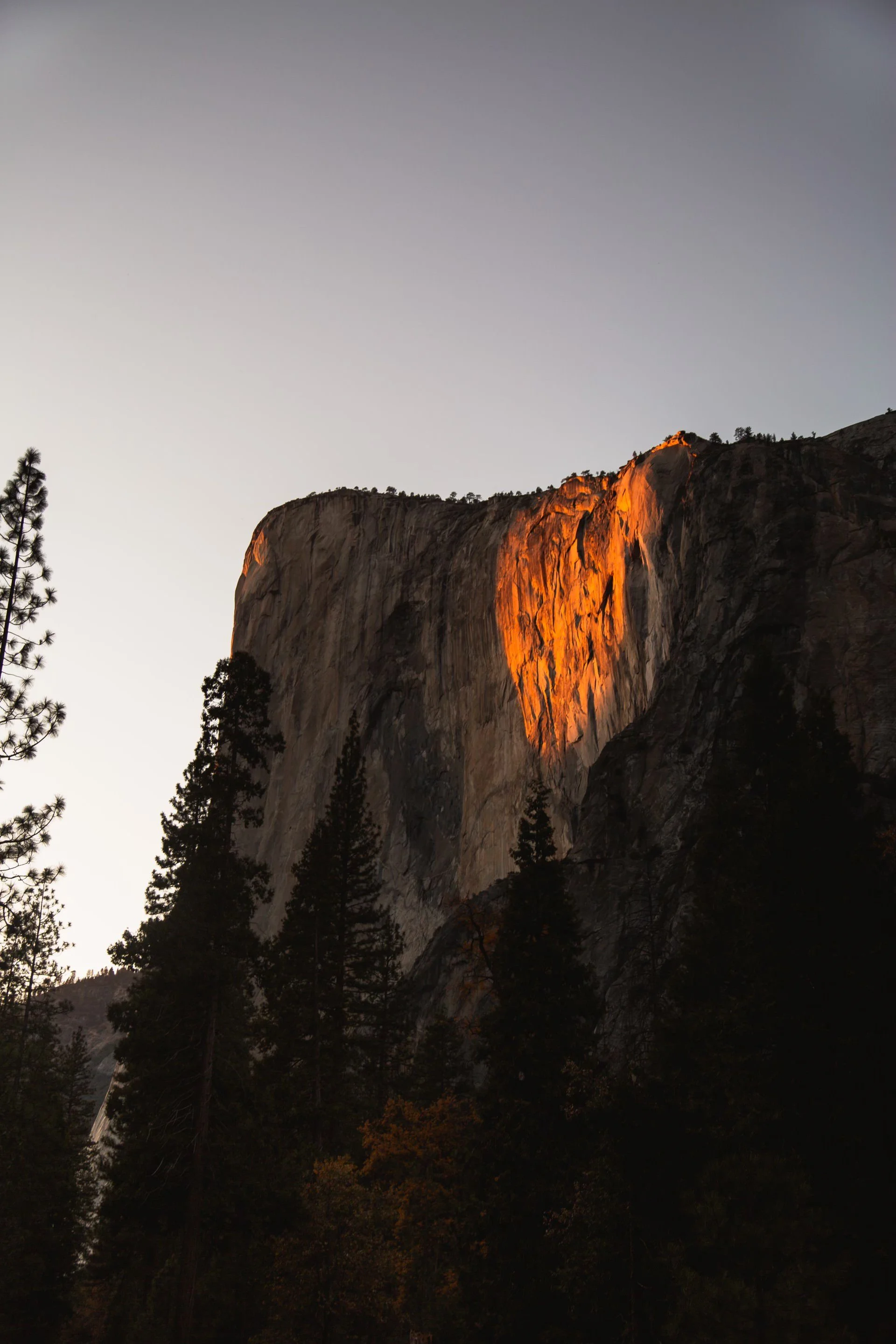 Paul Shonnard, MD — Nevada Orthopedics