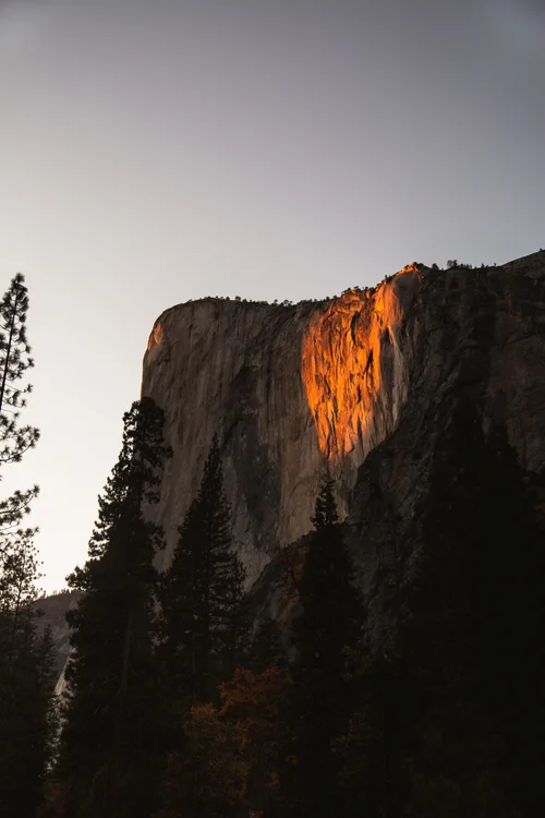 Paul Shonnard, MD — Nevada Orthopedics