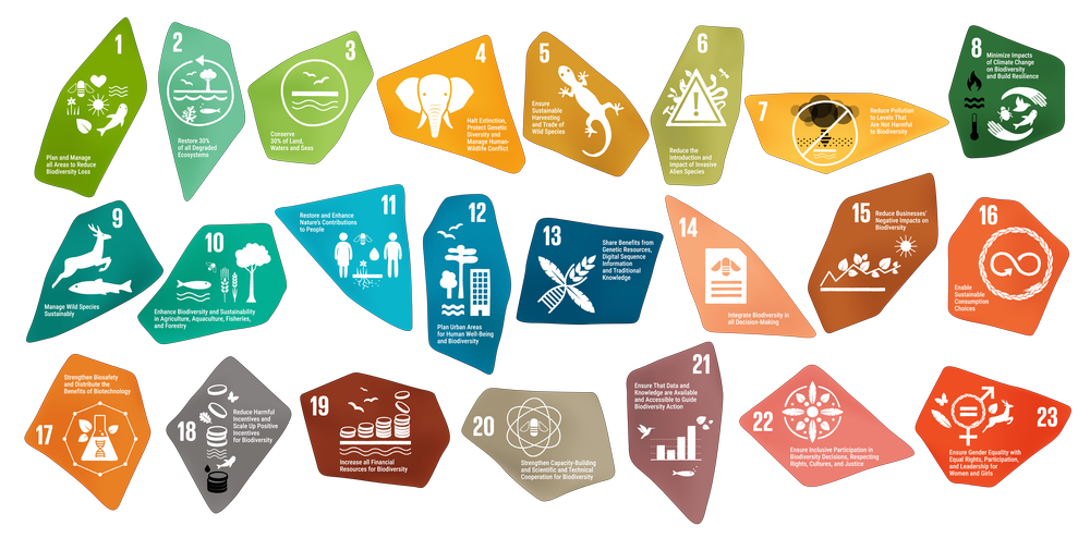 The Biodiversity Plan - For Life on Earth