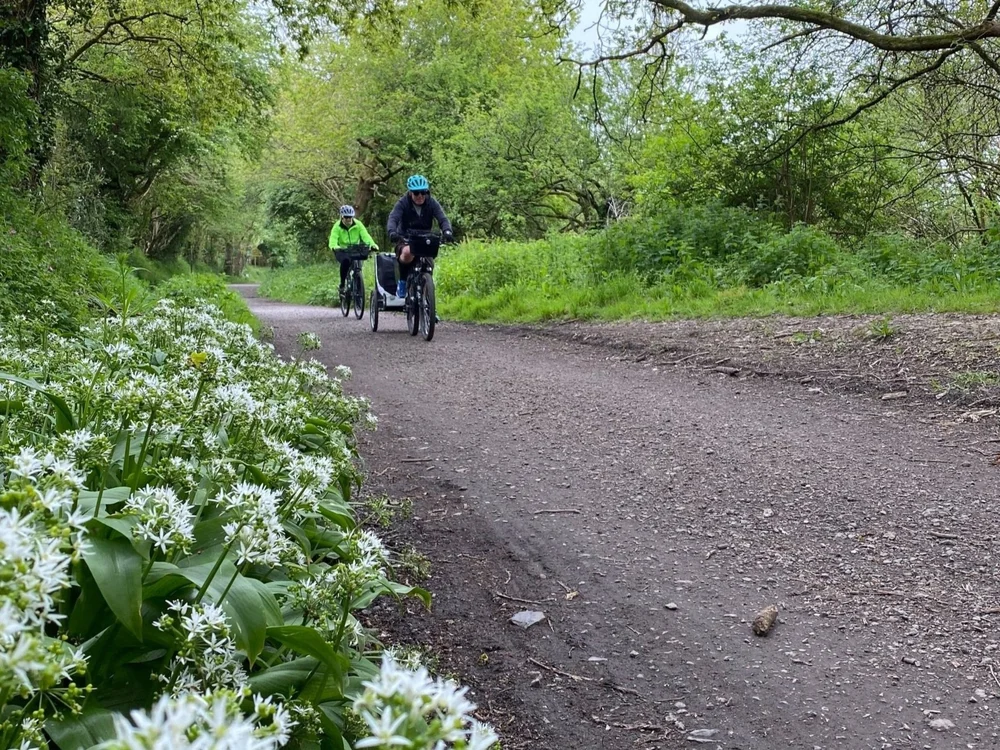 Why the Camel Trail is Cornwall's Premier Cycling Route — Bridge Bike Hire